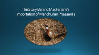 The Story Behind MacFarlane Pheasant's Importation of Manchurian Pheasants | PPTX