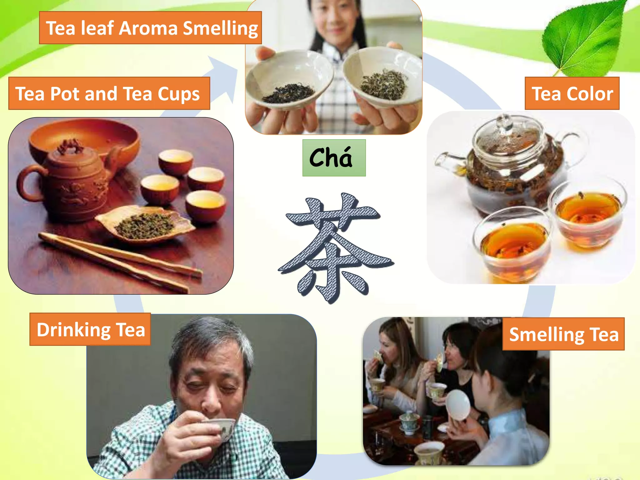 chineseteaintroduction-151119092408-lva1-app6891.pdf