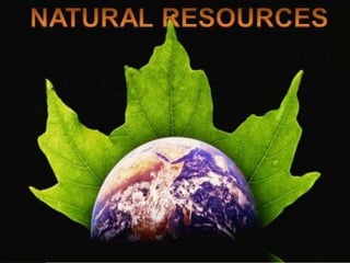 basic idea of natural resources | PPT