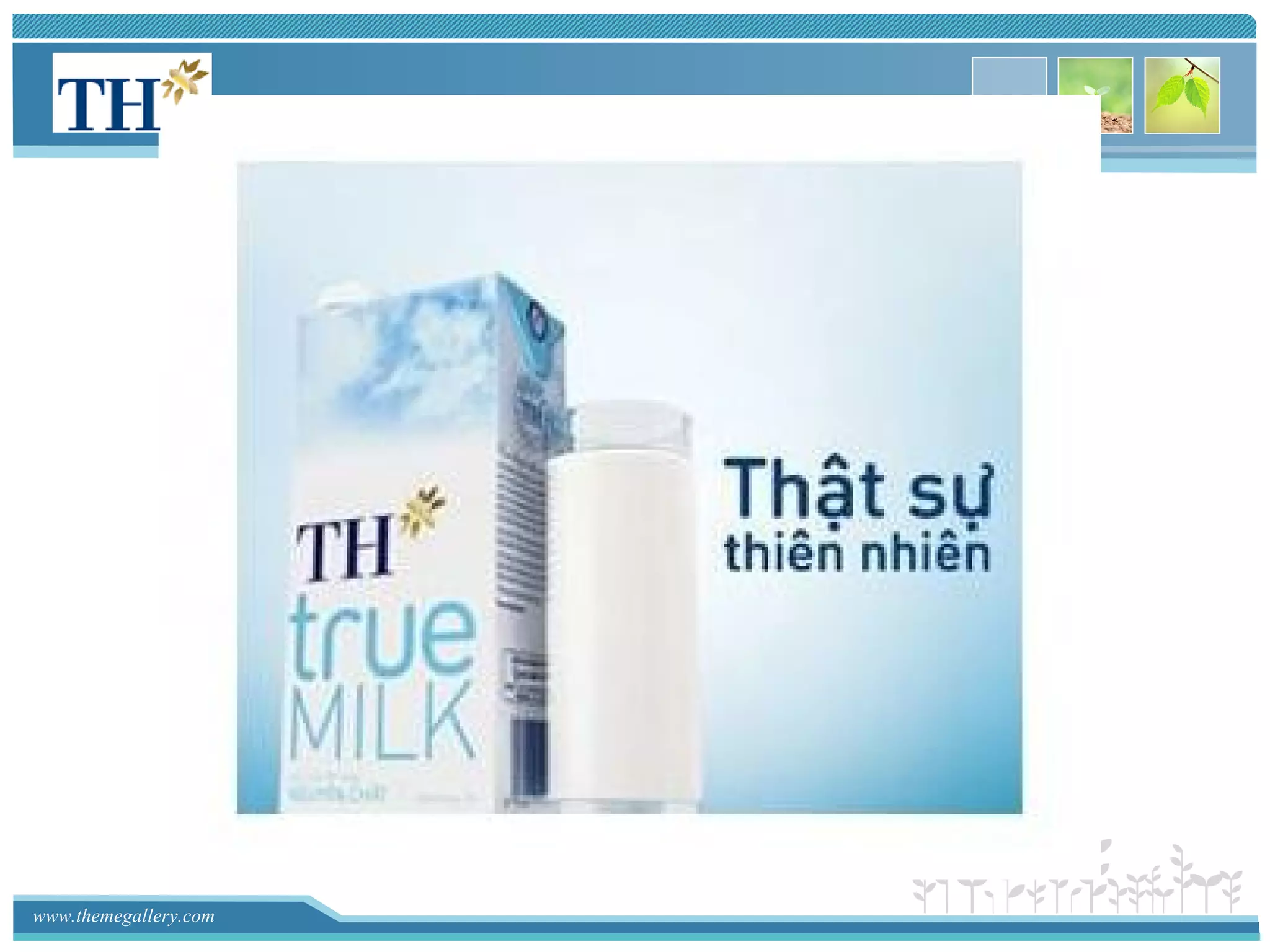 Chiến lược đại dương xanh của TH True milk | PPT
