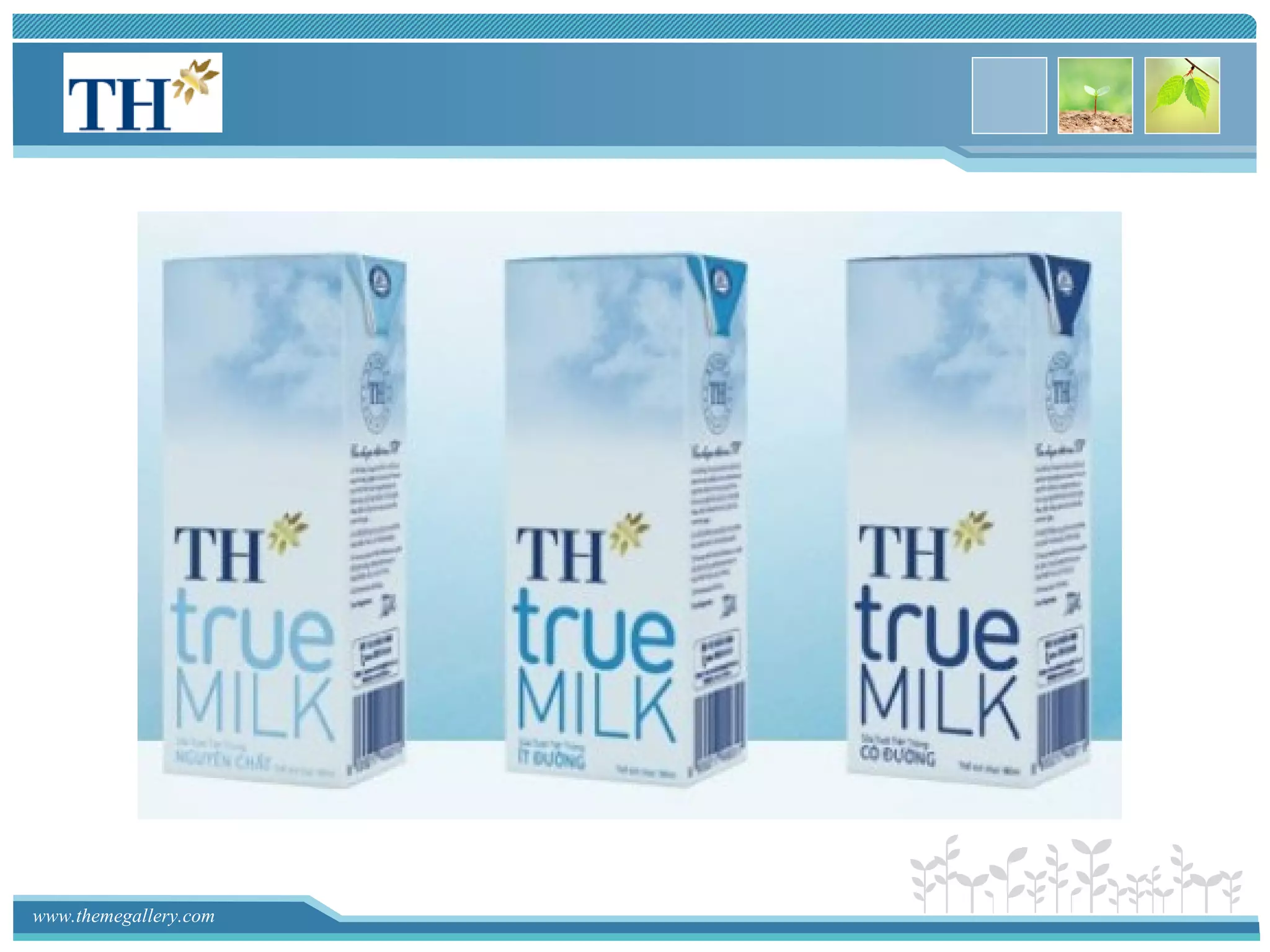 Chiến lược đại dương xanh của TH True milk | PPT