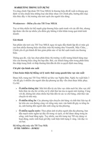 Chiến lược Marketing của TH True Milk.docx