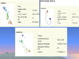 Protein Modeling And In-Silico Drug Designing Approach | PPT
