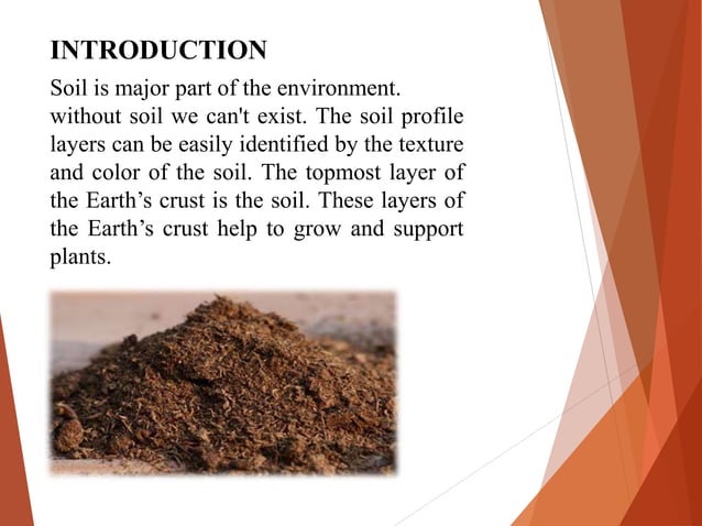 CHINMOY DEY (SOIL).pptx