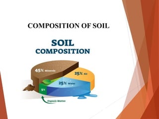 CHINMOY DEY (SOIL).pptx