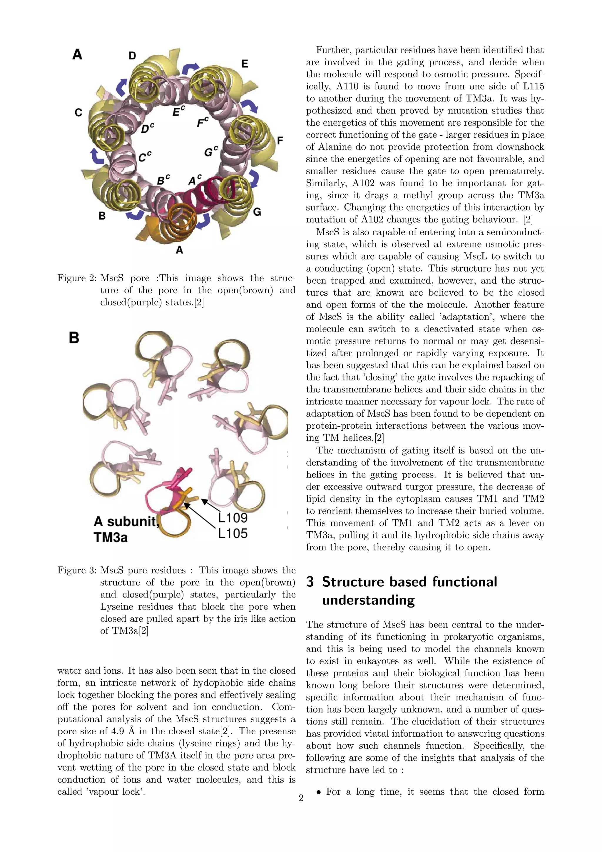 Mechanosensitive Channel of Small Conductance (MscS) | PDF | Chemistry ...
