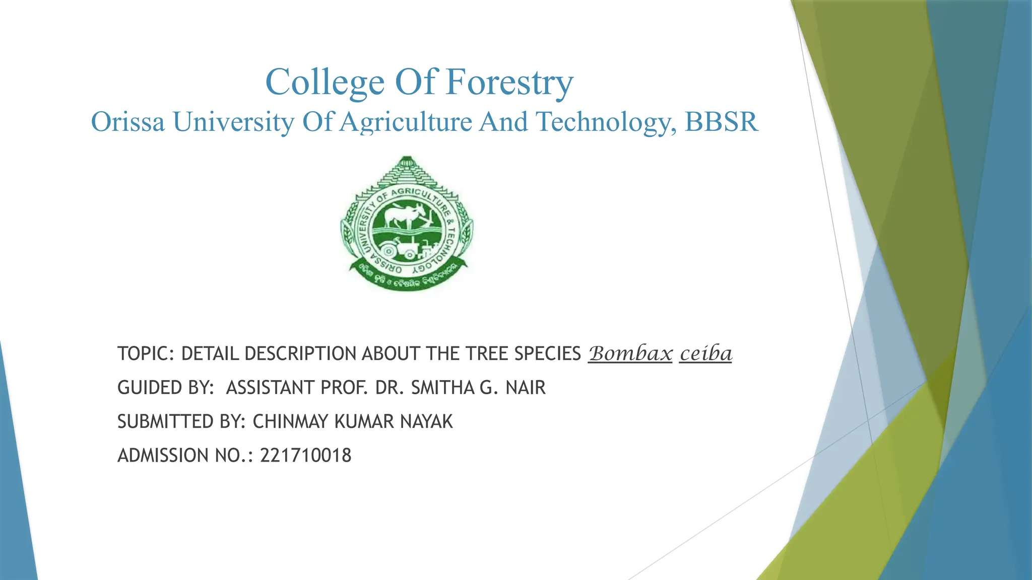 CHINTU-Laxmi final.pptx presentation on the tree | PPTX