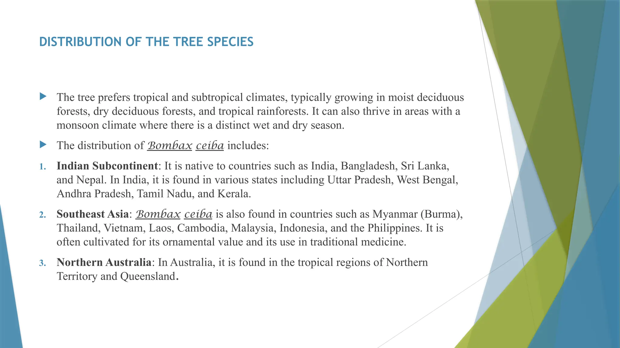 CHINTU-Laxmi final.pptx presentation on the tree | PPTX