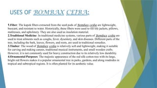 CHINTU-Laxmi final.pptx presentation on the tree | PPTX