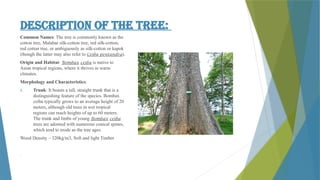 CHINTU-Laxmi final.pptx presentation on the tree | PPTX