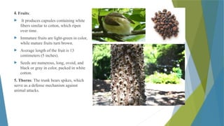 CHINTU-Laxmi final.pptx presentation on the tree | PPTX