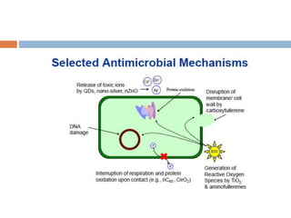 Chinwe eze seminar presentation | PPT
