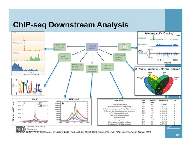 ChIP-seq Theory | PDF