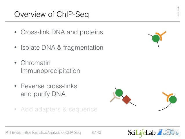 Analysis of ChIP-Seq Data