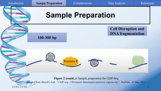 ChIP-Sequencing | PPTX