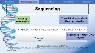 ChIP-Sequencing | PPTX