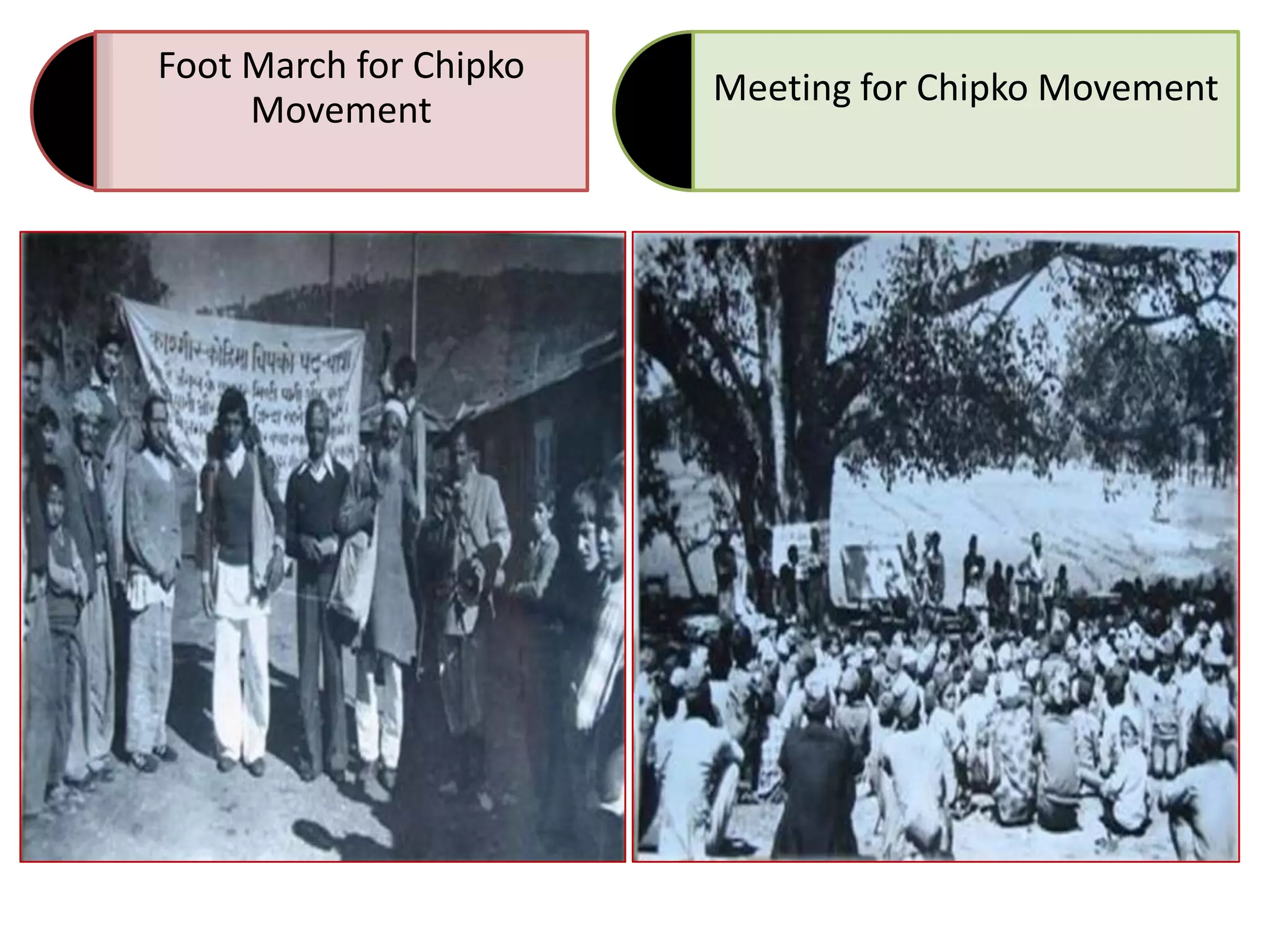Chipko Movement | PPTX