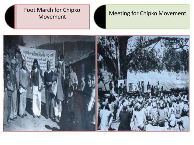 Chipko Movement | PPTX | Environment | Science