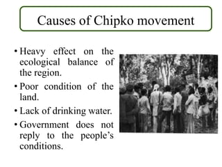 Chipko movement .pptx