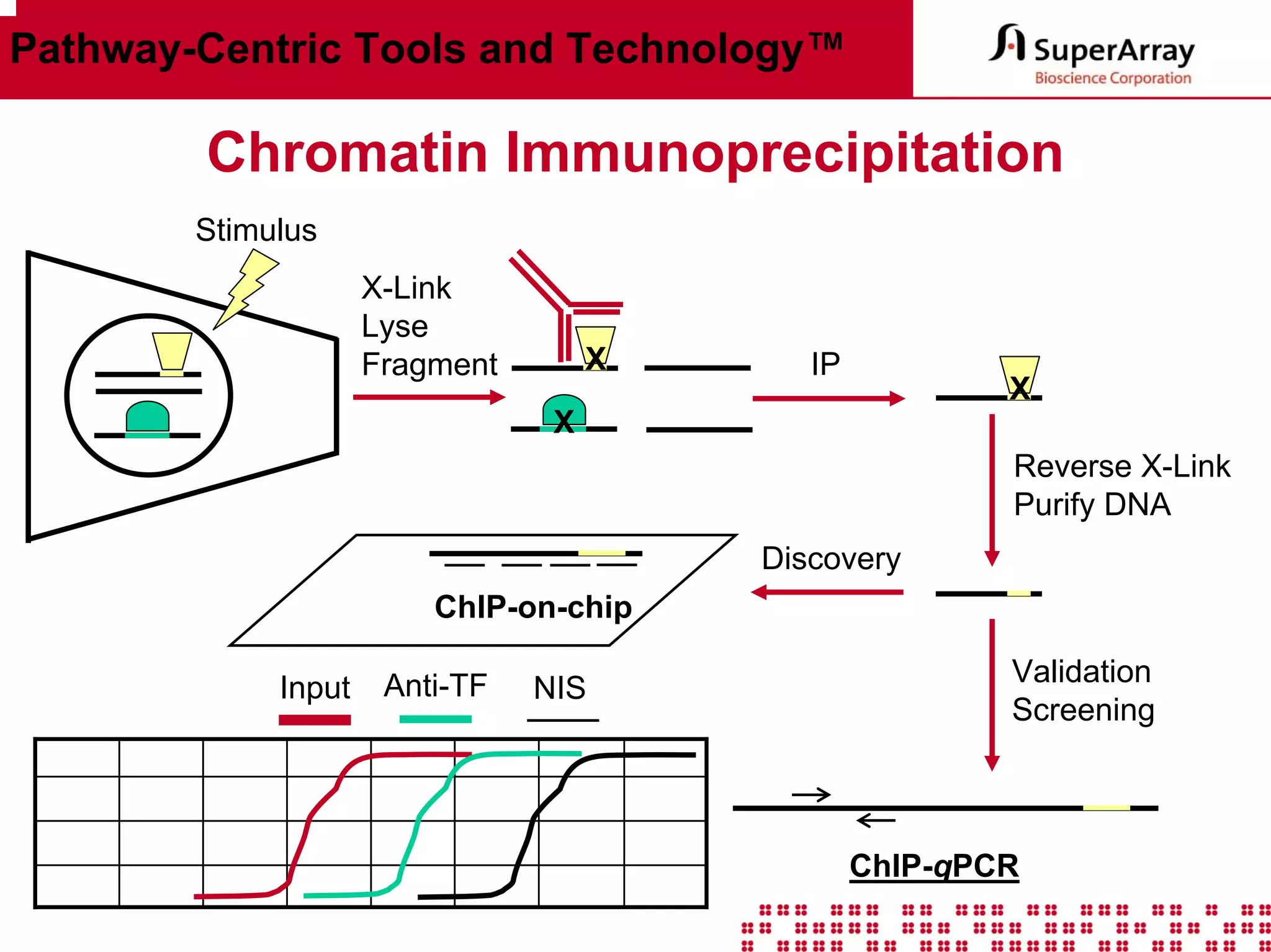 Chipqpcrpresentation | PDF