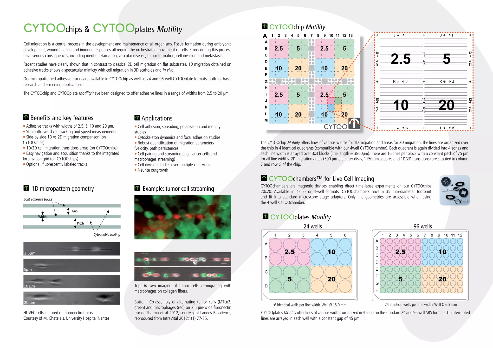 CYTOO chips&plates Motility | PDF