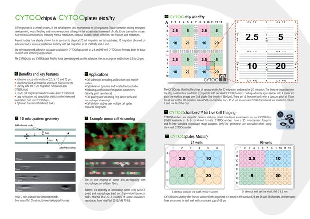 CYTOO chips&plates Motility | PDF