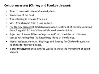 Chirkey and foorkey disease of cardamom | PPTX