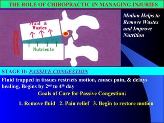 Chiropractic And Injury | PPT