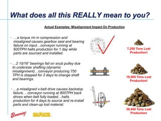 Chiropractic help for misalignment | PPT