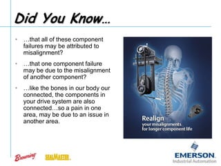 Chiropractic help for misalignment | PPTX