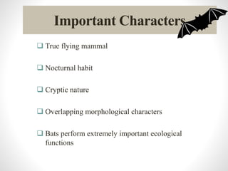 Order - Chiroptera, wildlife Biology | PDF