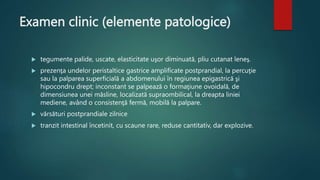 chirpedcazrezidentiat12345678912345.pptx