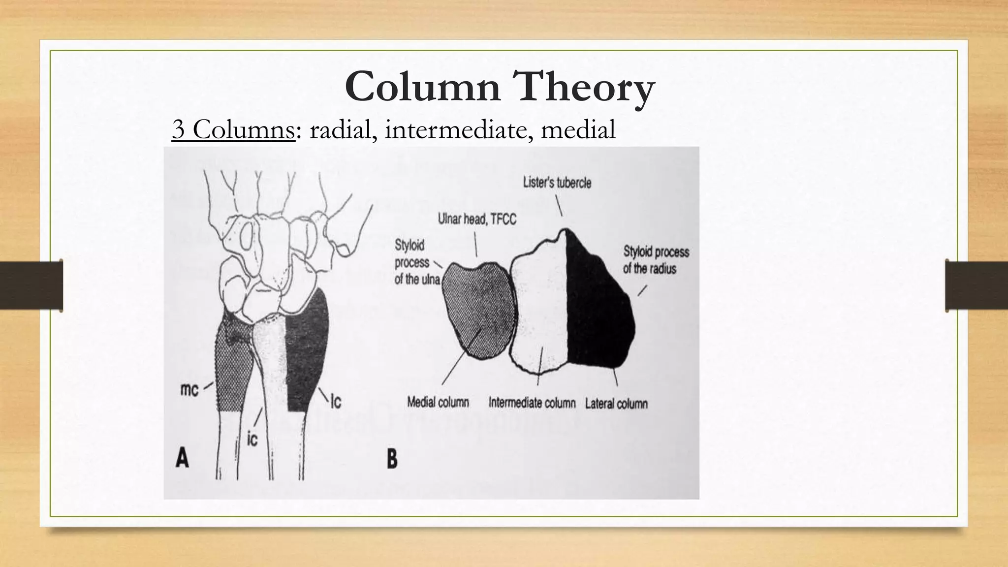 distal radius # ppt | PPTX