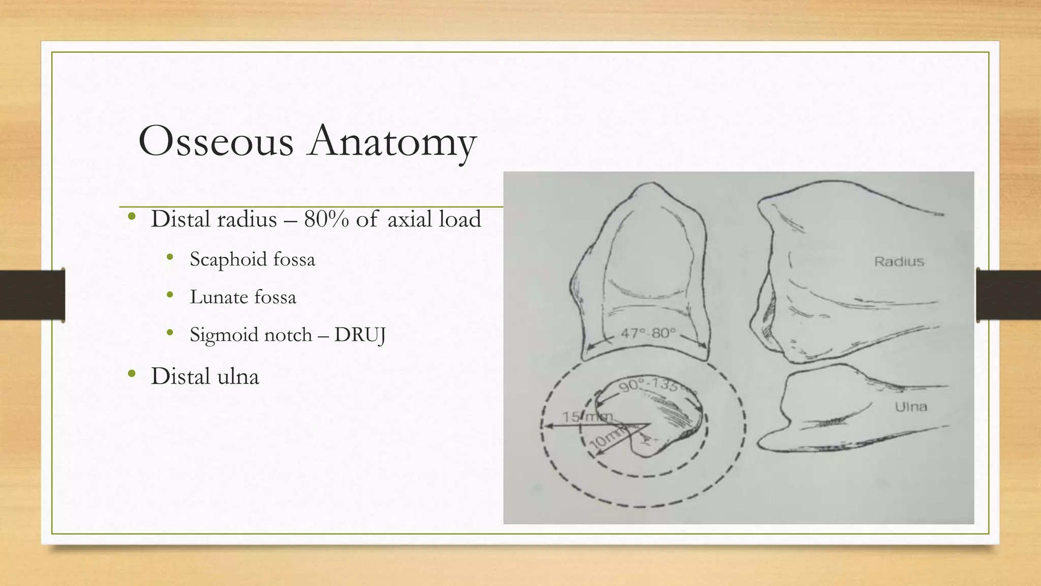 distal radius # ppt | PPTX