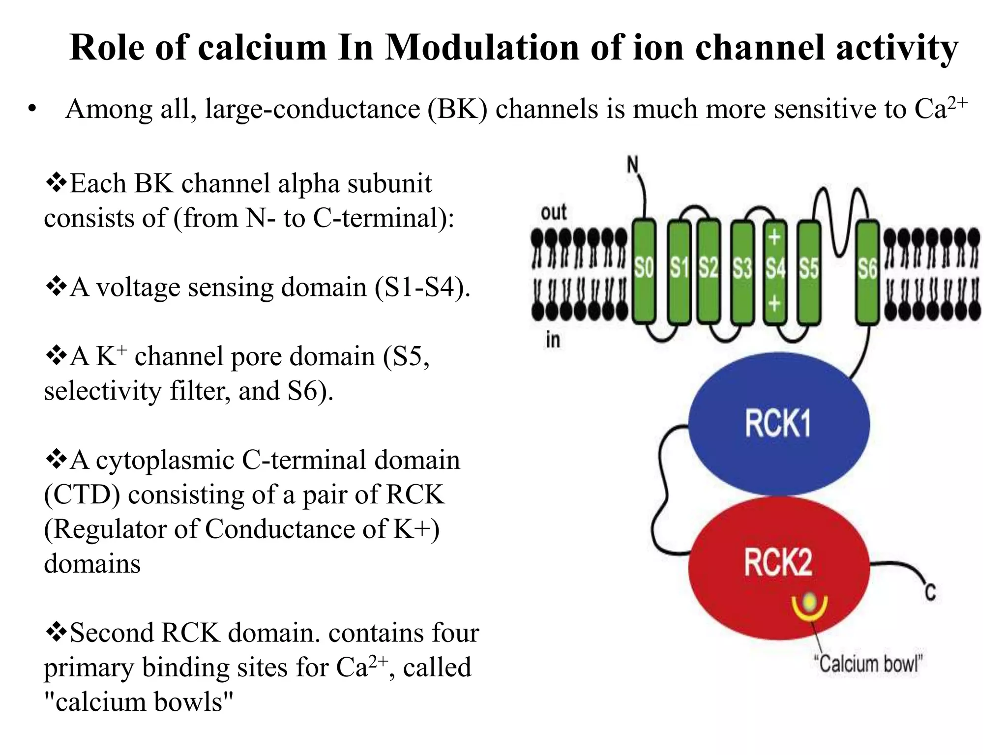 Calcium as a Regulatory and Signalling ion | PPTX