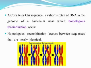 Chi sequence | PPT