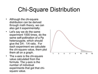 Chi Square | PPT
