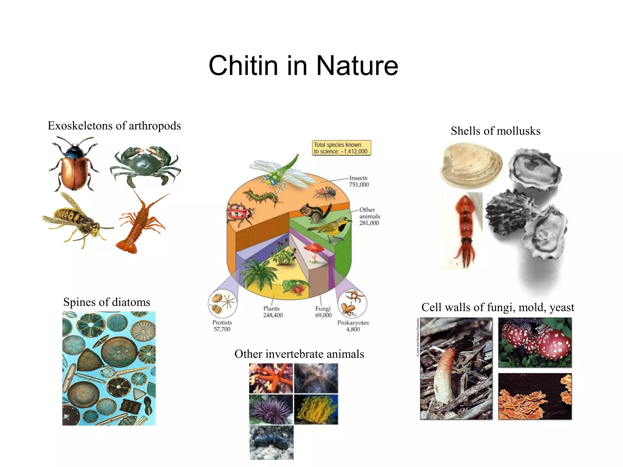 Chitin and chitosan, dr jawahar | PPT