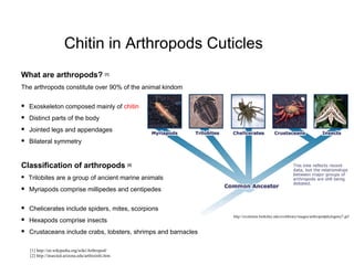 Chitin and chitosan, dr jawahar | PPT