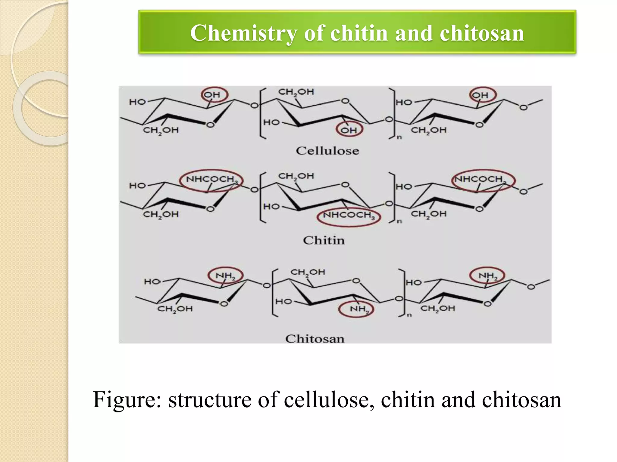 Chitin and chitosan source, chemistry, general method of preparation ...