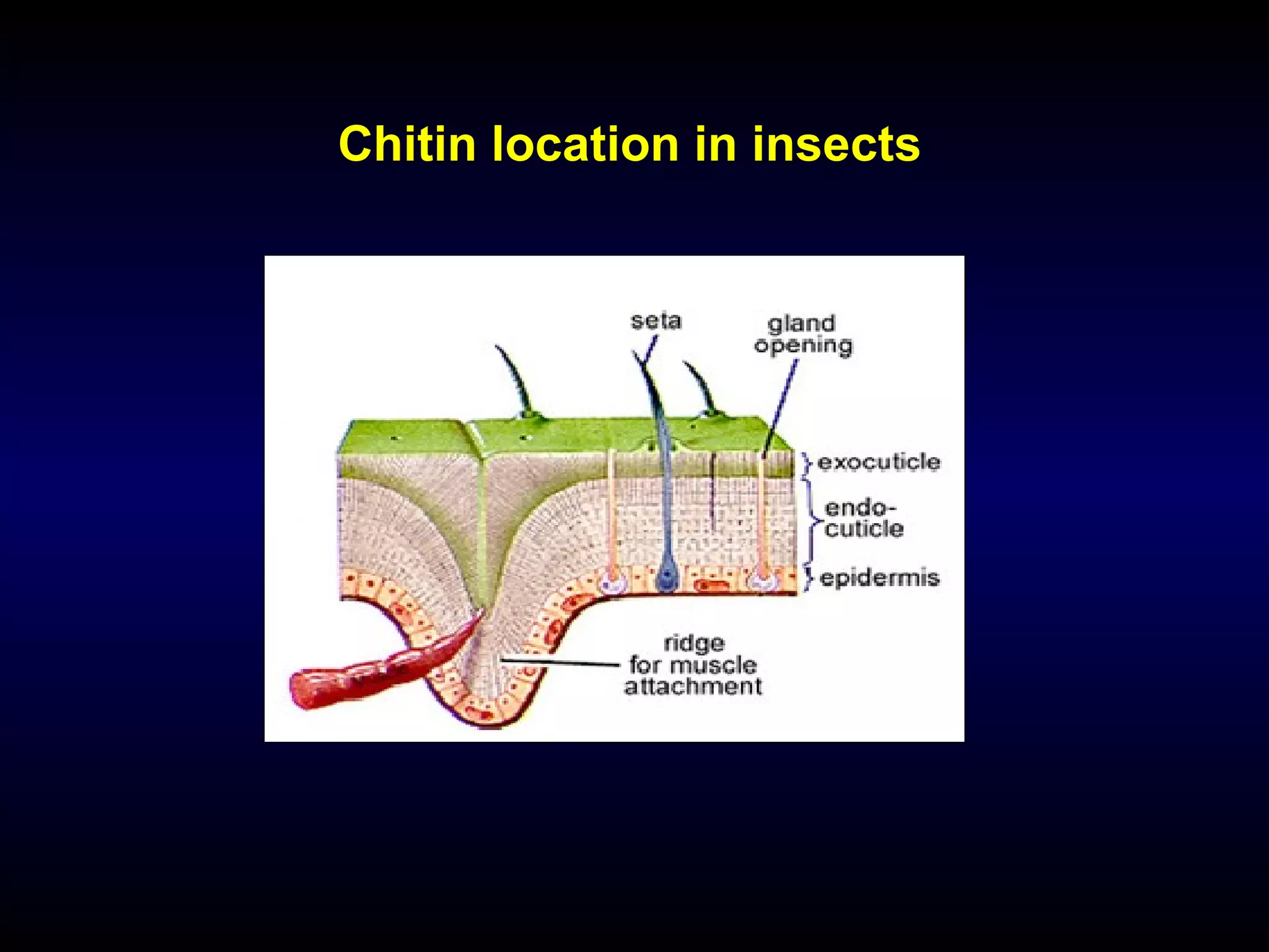 Chitinase genes and insect management in crop plants | PPT