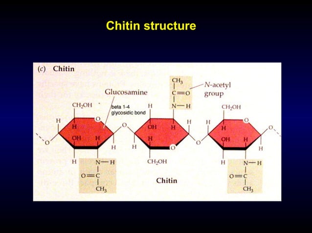 Chitinase genes and insect management in crop plants | PPT