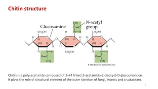 Chitin, chitosan and COS.pptx