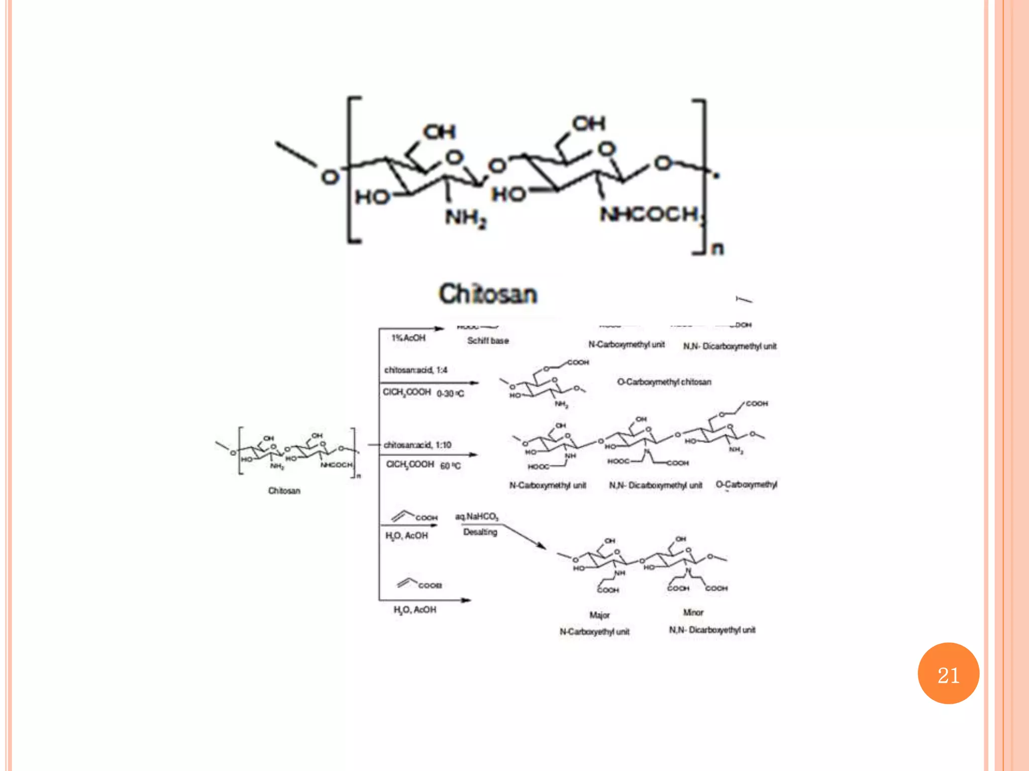 Chitosan | PPTX