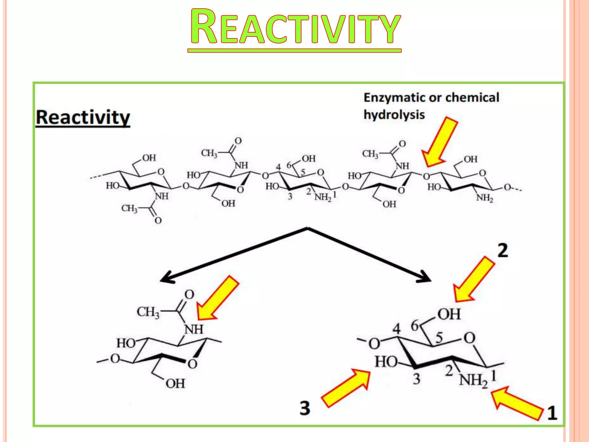 Chitosan | PPTX