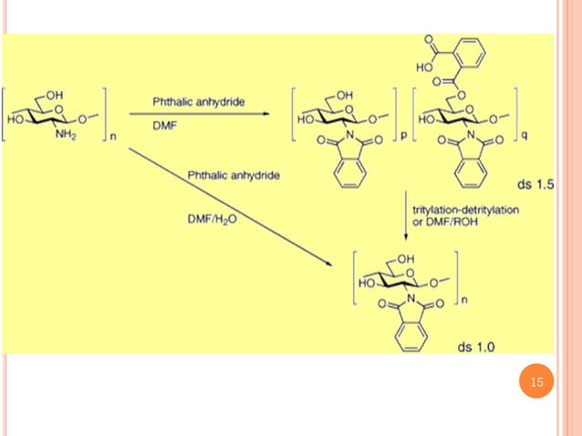 Chitosan | PPTX | Chemistry | Science