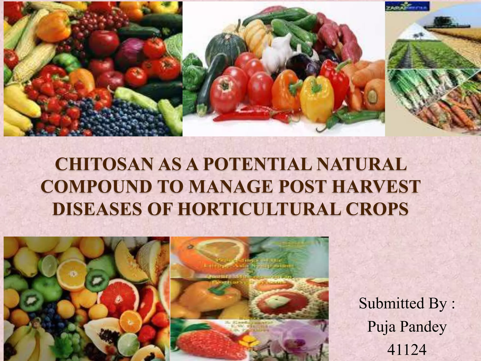 Chitosan as a potential natural compound to control | PPT