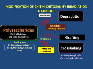 Chitosan as growth promoters | PPT