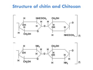 Chitosan nanoparticle synthesis | PPTX