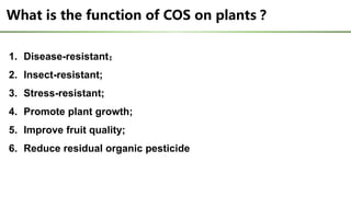 Chitosan oligosaccharide control plant diseases and reduce pesticide ...
